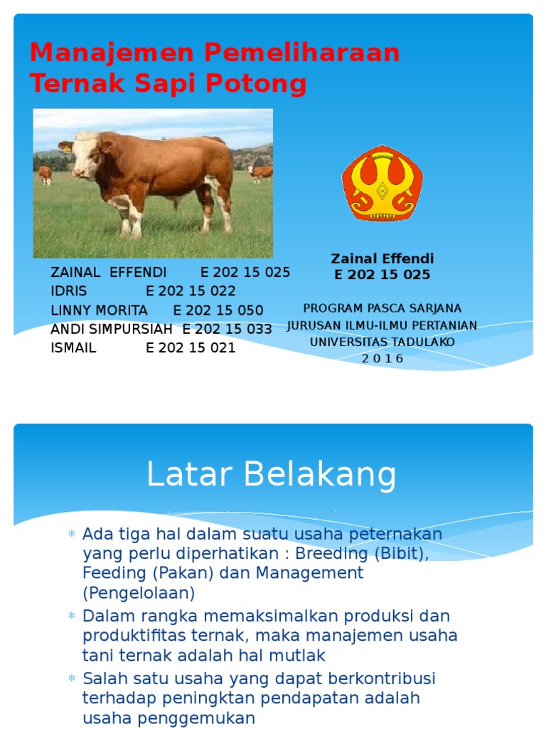Manajemen Pemeliharaan Ternak Sapi Potong | PDF