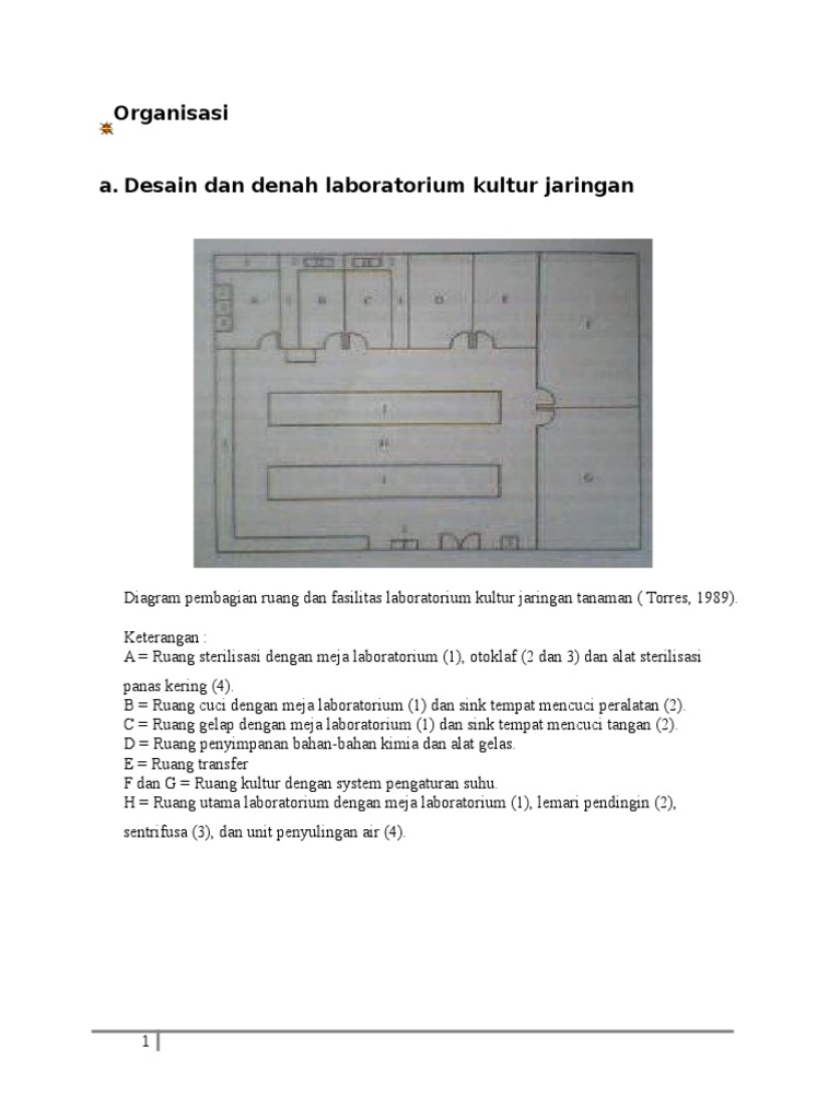 Kultur Jaringan Organisasi Dan Peralatan Laboratorium | PDF | Sains ...