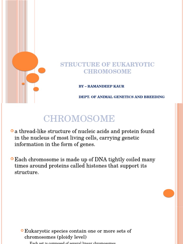 Structure of Eukaryotic Chromosome | PDF | Histone | Chromosome