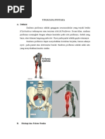 Intervensi Fisioterapi Pada Kasus Piriformis Syndrome | PDF