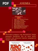 Anemia Normositik Normokrom | PDF