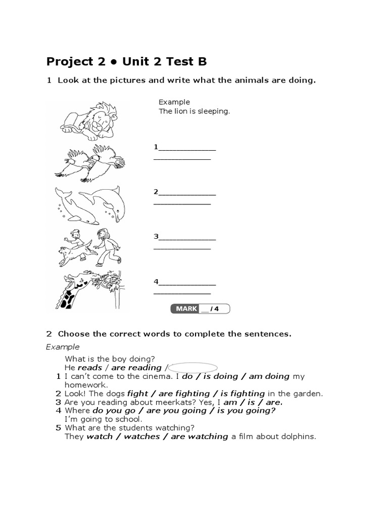 Sample Test For Project 2 Unit 2 | PDF | Zoo