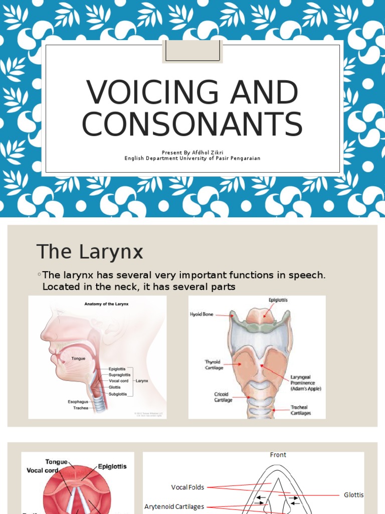 Voicing Mechanisms in English Consonants | PDF | Larynx | Sound Production