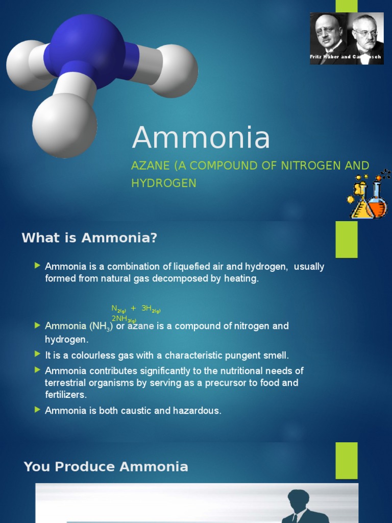 Ammonia PPT by Jayant Final | PDF | Ammonia | Nitrogen