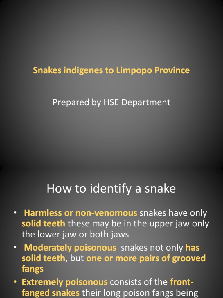 Limpopo Snakes | Snake | Predators