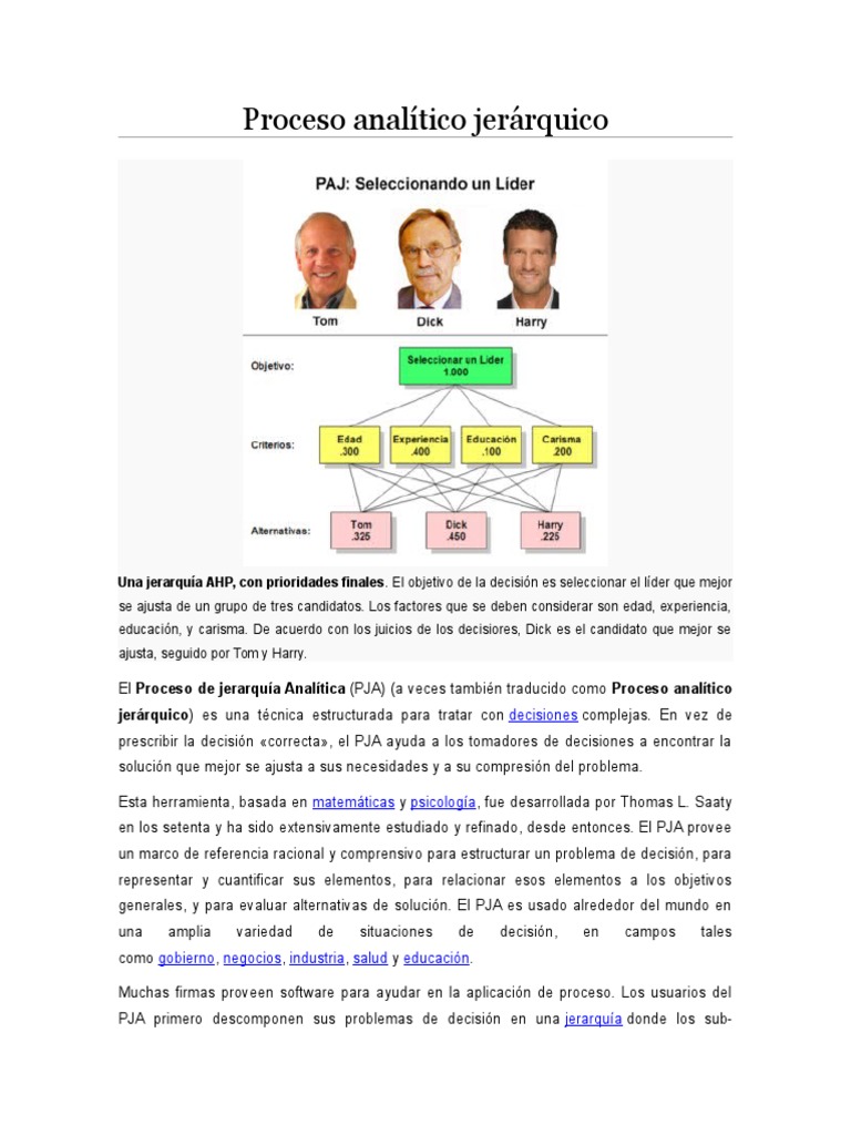 Proceso Analítico Jerárquico | Cognición | Sicología y ciencia cognitiva