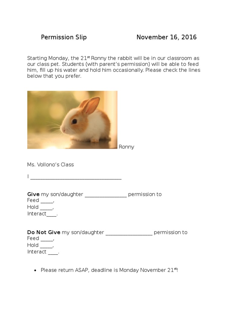 Permission Slip - Rabbit | PDF