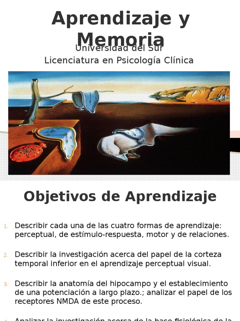 Cap 13 Aprendizaje Y Memoria Pdf Sinapsis Neuroplasticidad