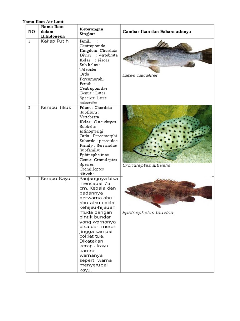 Nama Ikan Air Laut | PDF