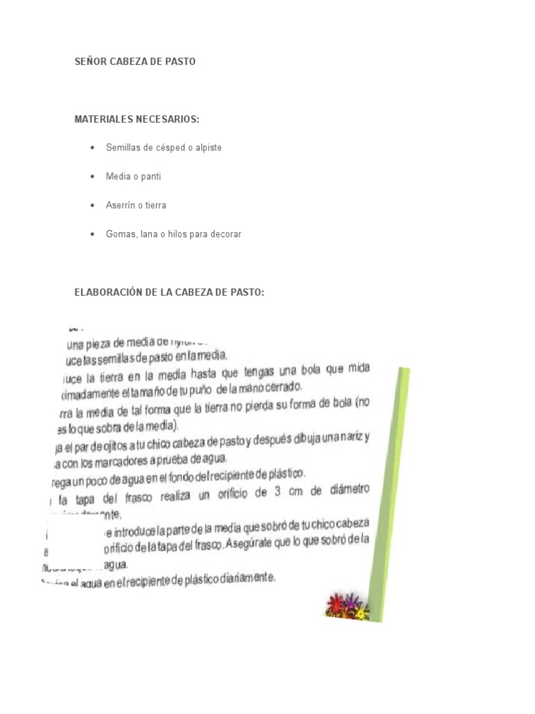 Señor Cabeza de Pasto | PDF