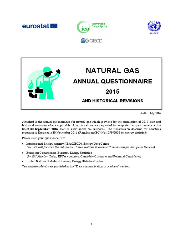 Gas Questionnaire Instructions 2015 | PDF | Natural Gas Storage ...