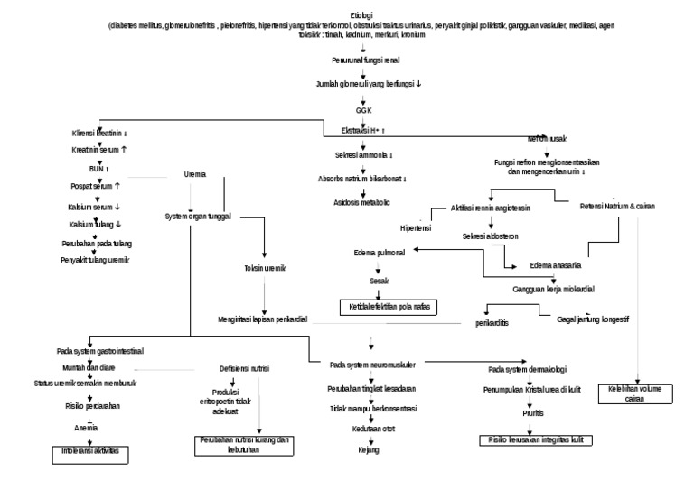 Pathway DM | PDF | Kesehatan Holistik | Sains & Matematika