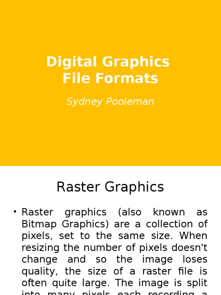 File Types Pro Forma | PDF