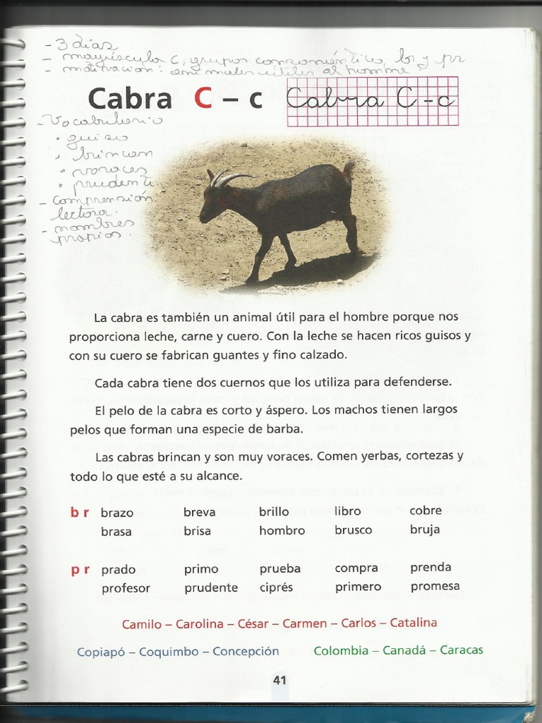 Lección Mayuscula Cabra | PDF