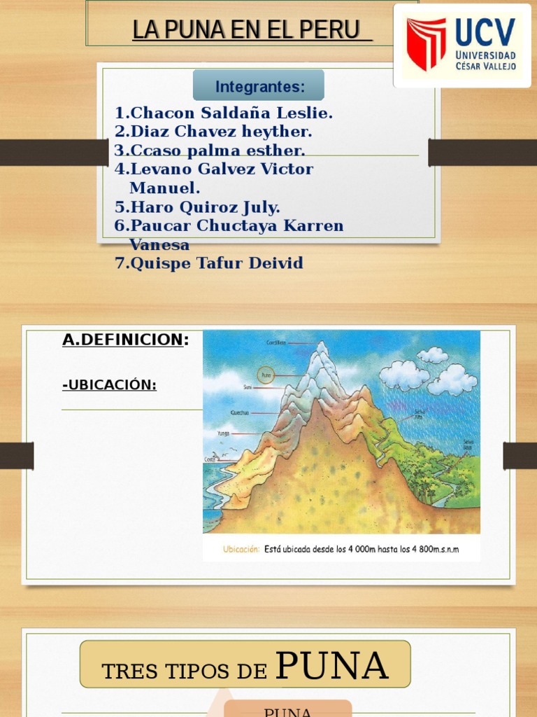 Region Puna | PDF