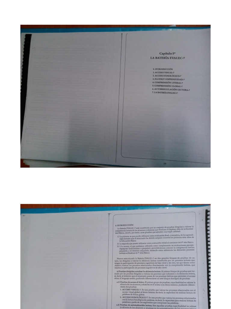 Evalec 7 Manual | PDF