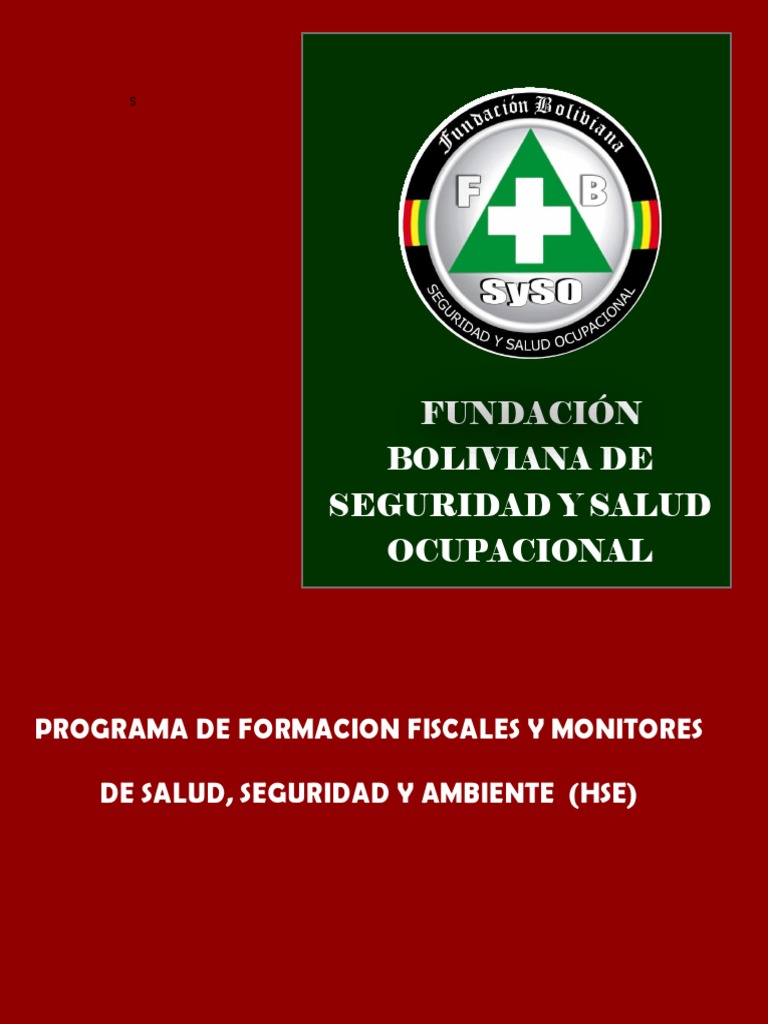 Programa Hse | PDF | La seguridad | Bienestar