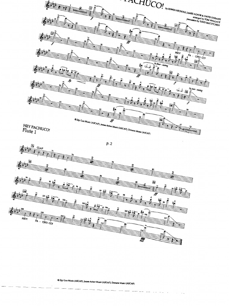 Hey Pachuco.pdf | Music Production | Rhythm And Meter