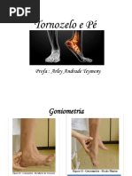 Teste de Apoio Unipodal | PDF