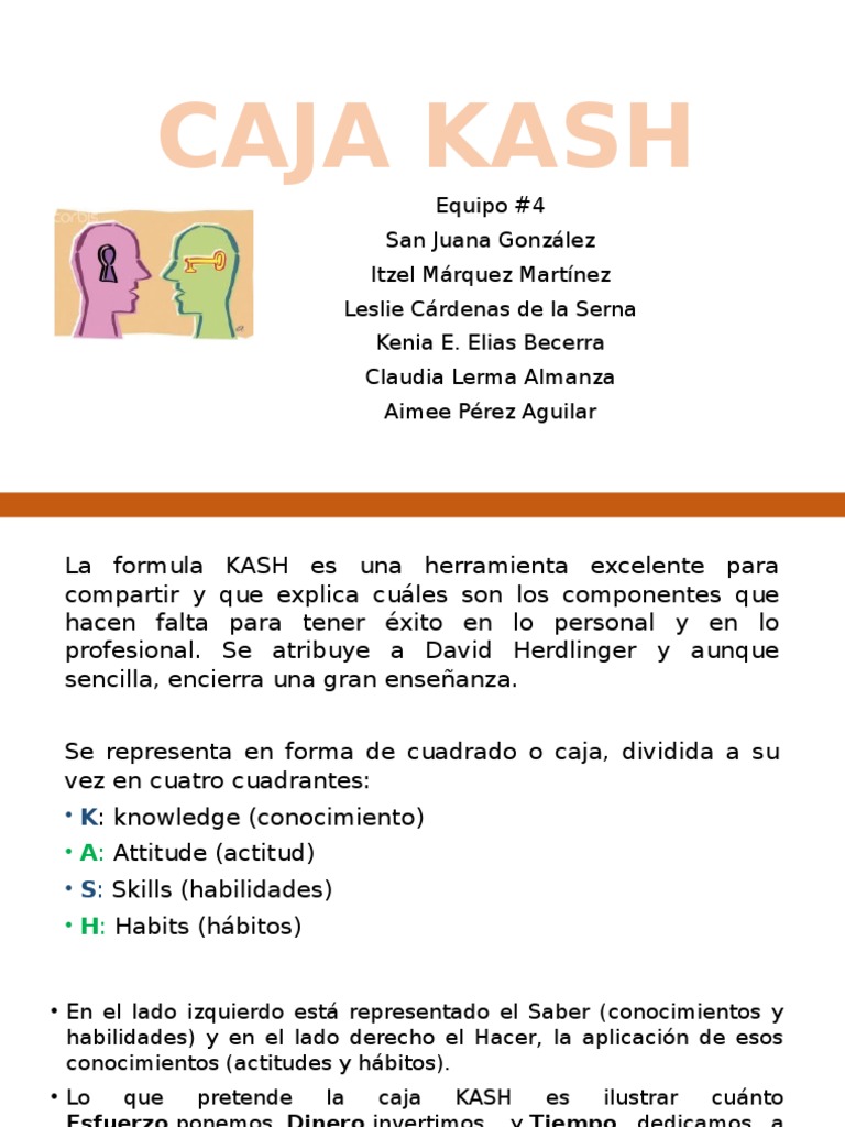 Caja Kash | PDF