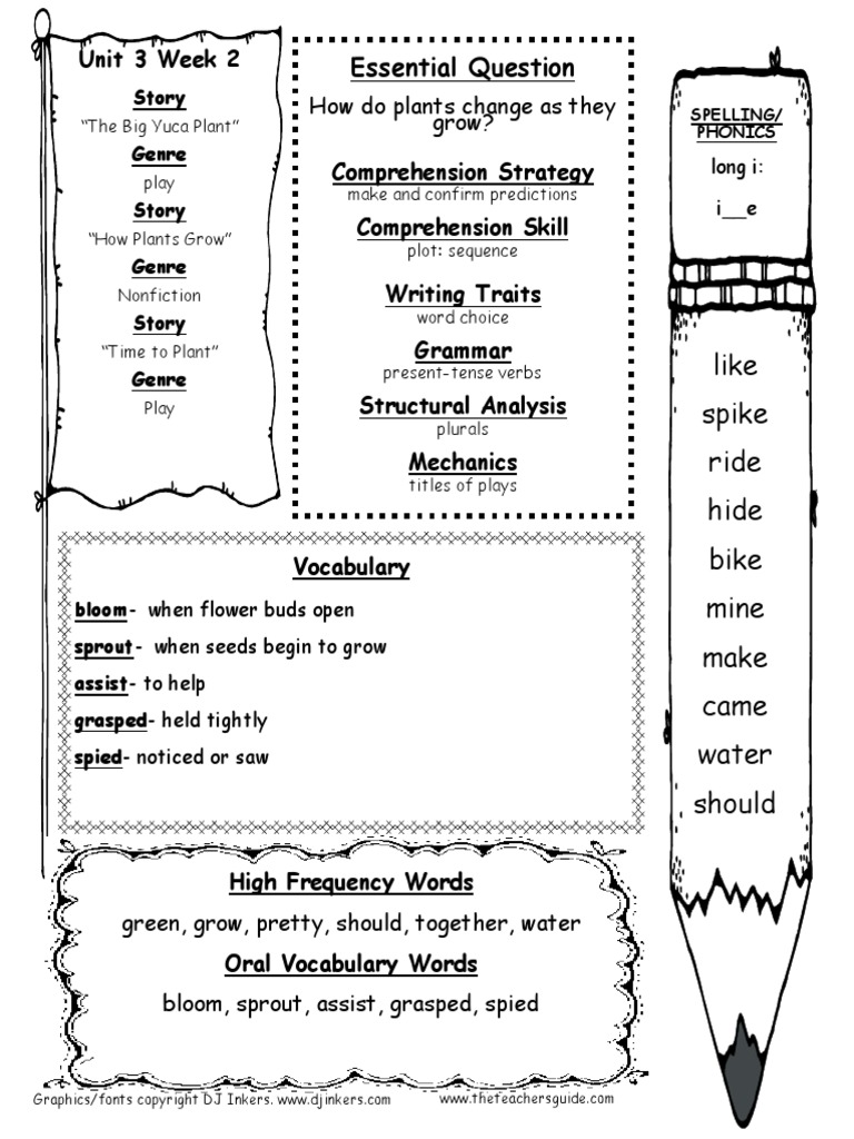 spelling unit 3 week 2