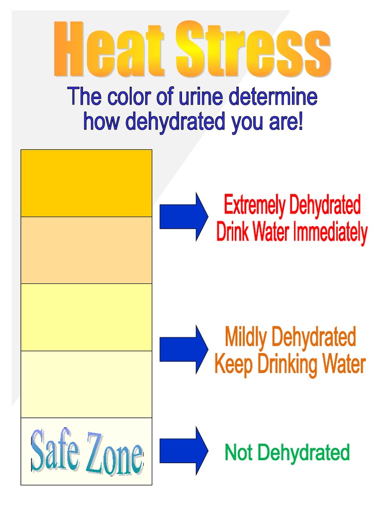 Urine Color Chart | PDF