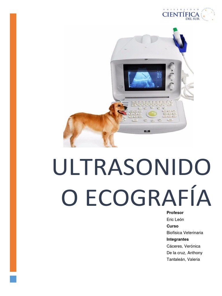 Ultrasonido y Ecografia | Descargar gratis PDF | Ultrasonido médico ...