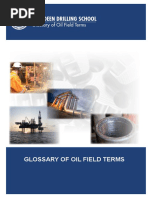 P QUIP Swab and Pony Rod | PDF | Pump | Piston