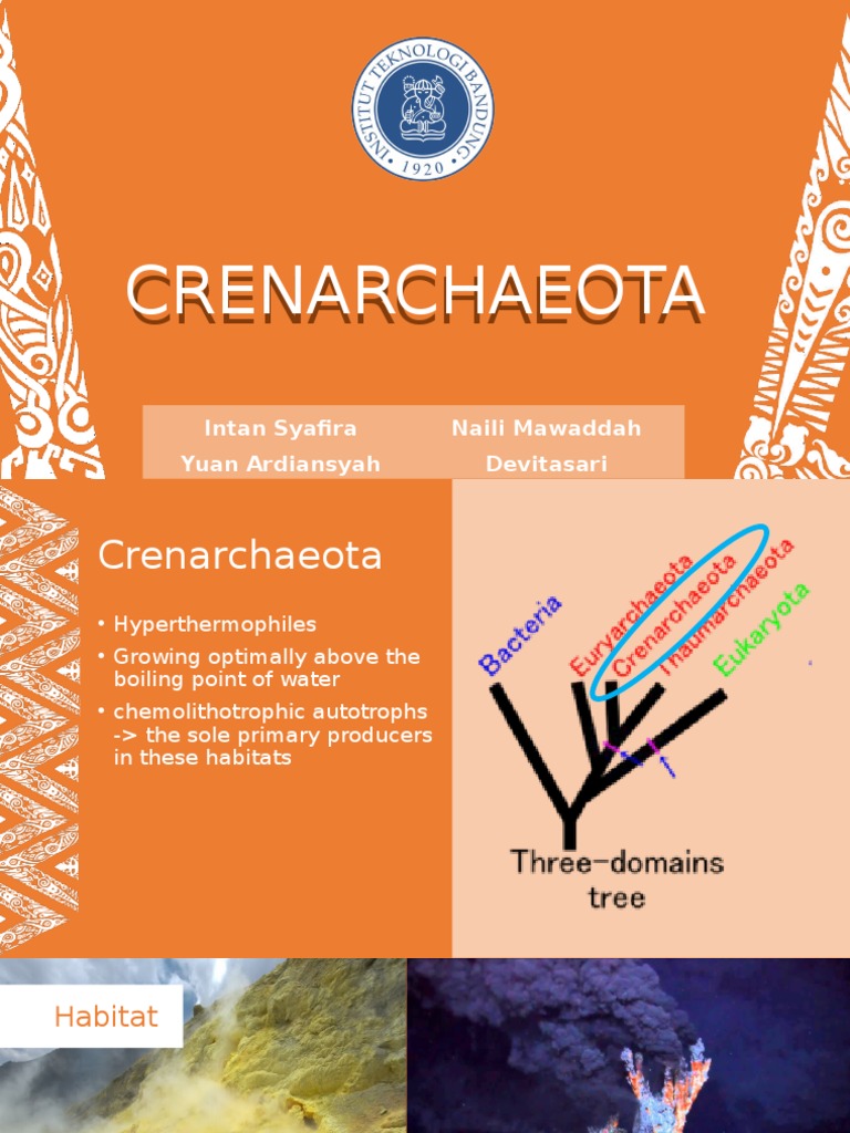 crenarchaeota