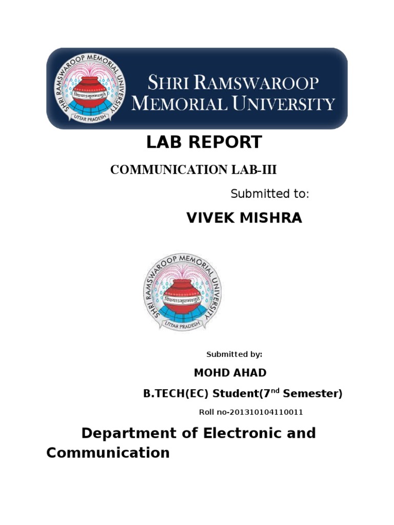Lab Report: Vivek Mishra | PDF