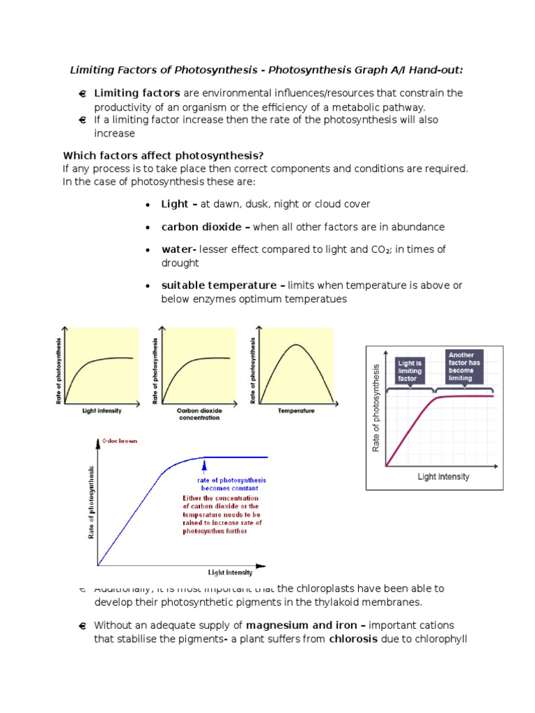 Limiting Factors of Photosynthesis | PDF | Photosynthesis | Chemistry