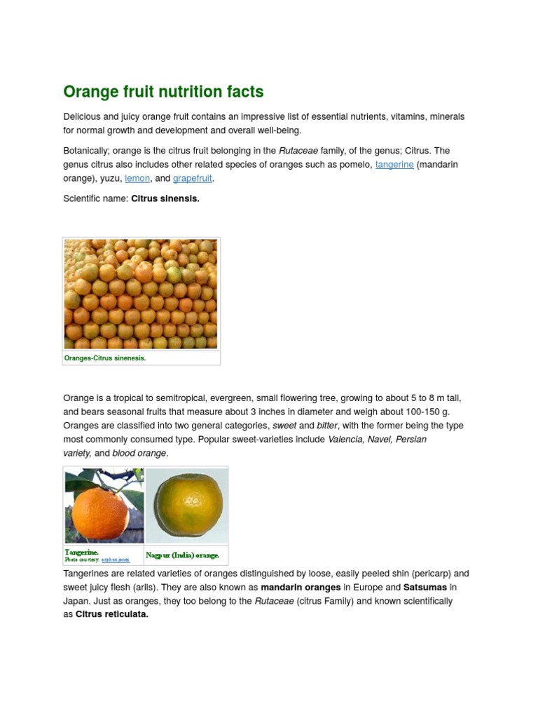 Orange Fruit Nutrition Facts | Orange (Fruit) | Citrus