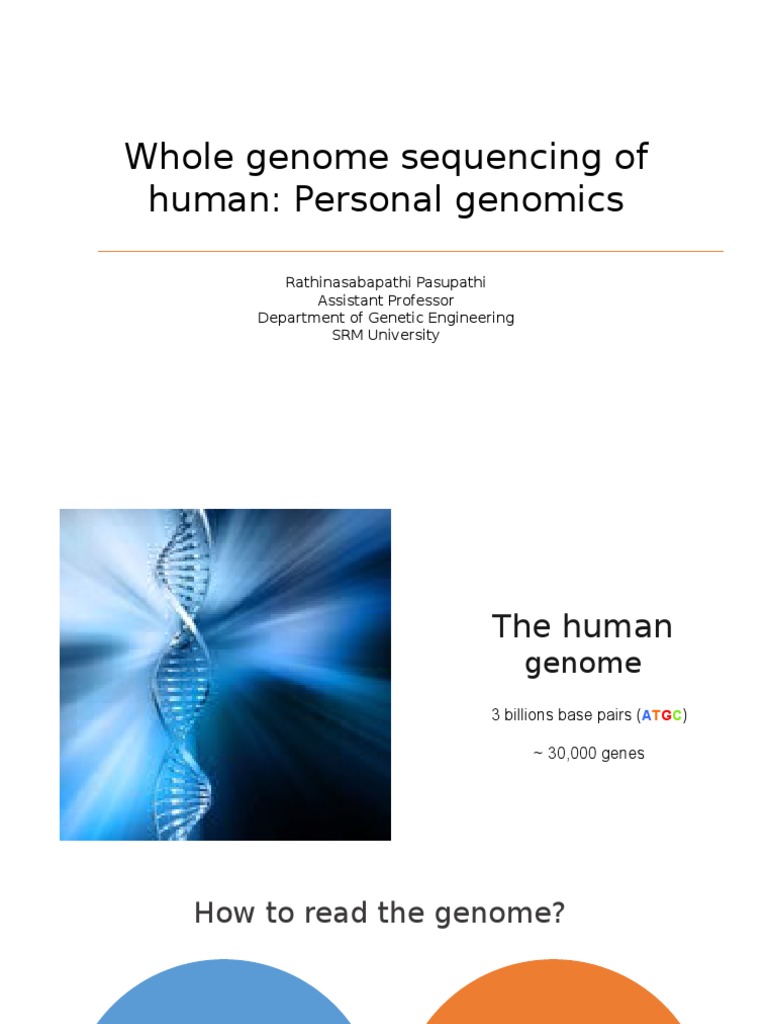 Human Genome Project Sequencing Overview | PDF