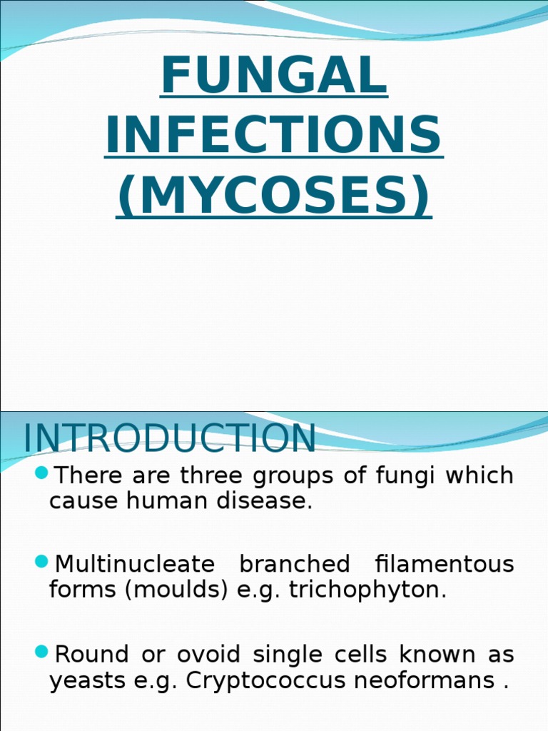 Superficial Mycosis | Animal Diseases | Immunology
