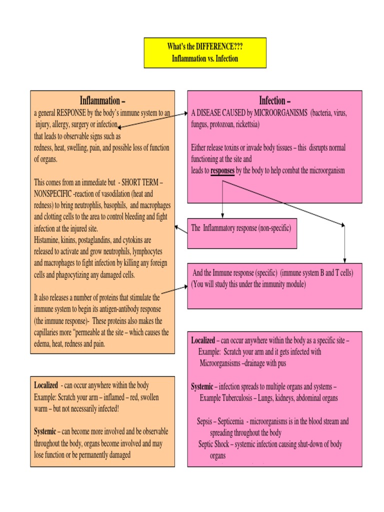 Inflammation vs. Infection Explained | PDF | Wellness
