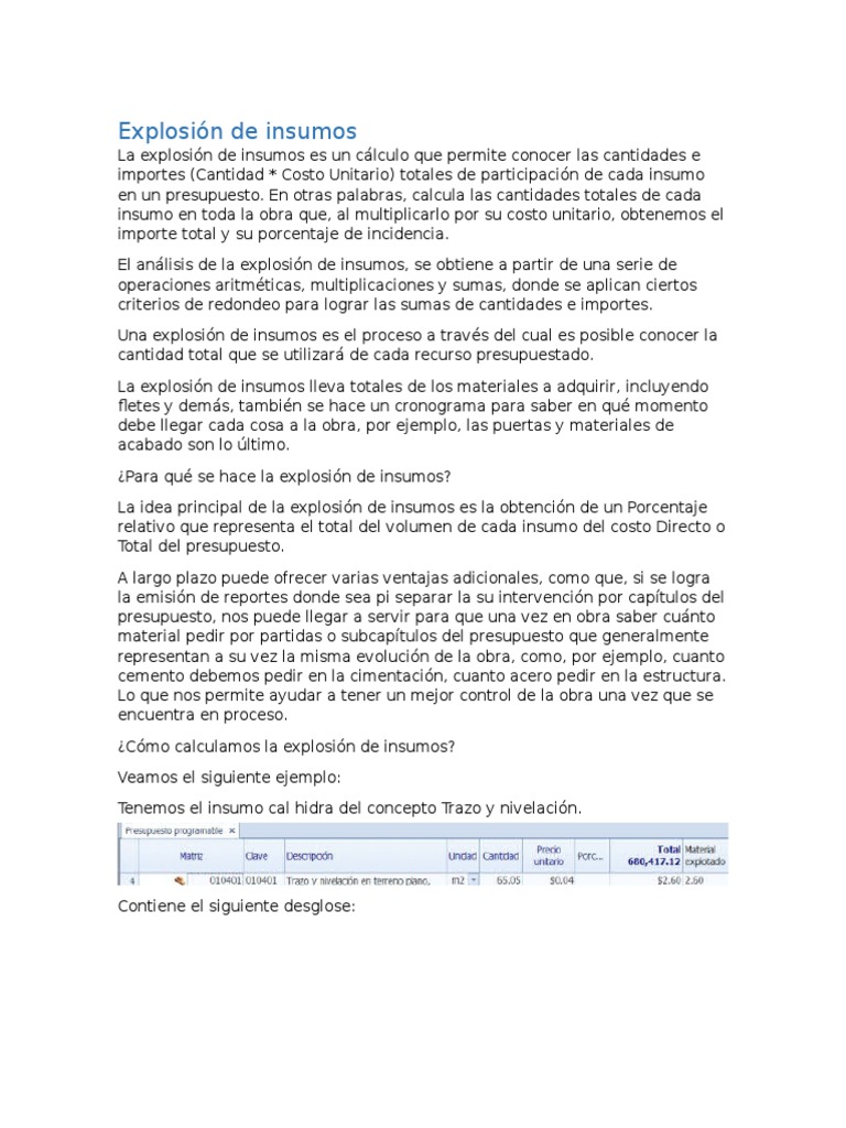 Explosión de Insumos | PDF | Presupuesto | Enseñanza de matemática