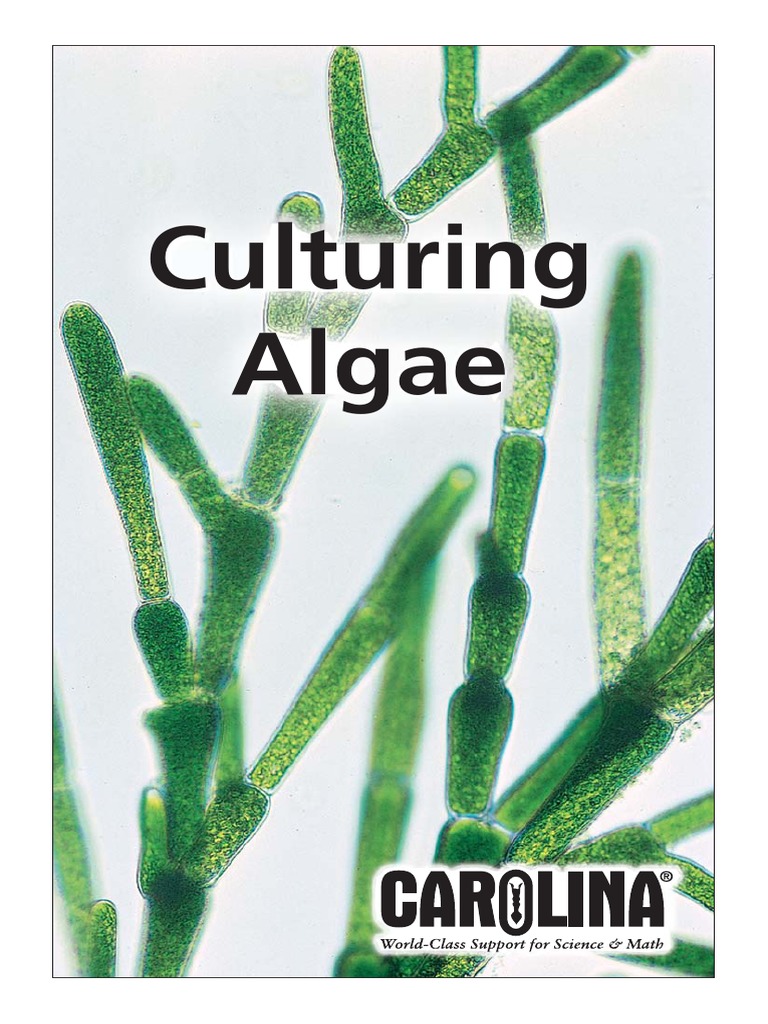 Culturing Algae | PDF | Growth Medium | Algae