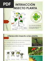 Evolución de Insectos: Cronología y Origen | PDF | Insectos | Escala de ...