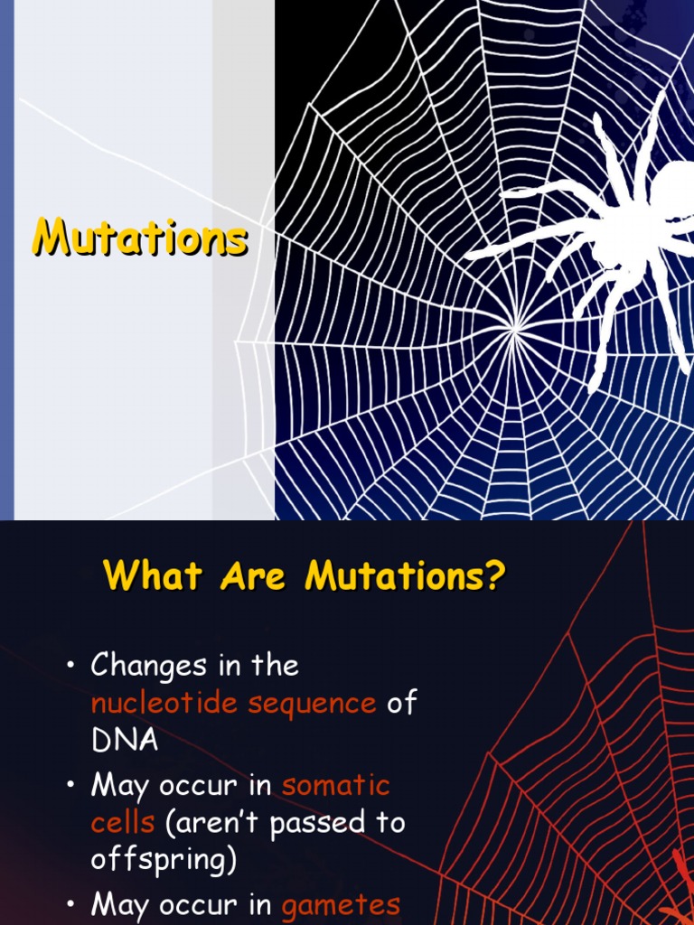Understanding DNA Mutations and Types | PDF