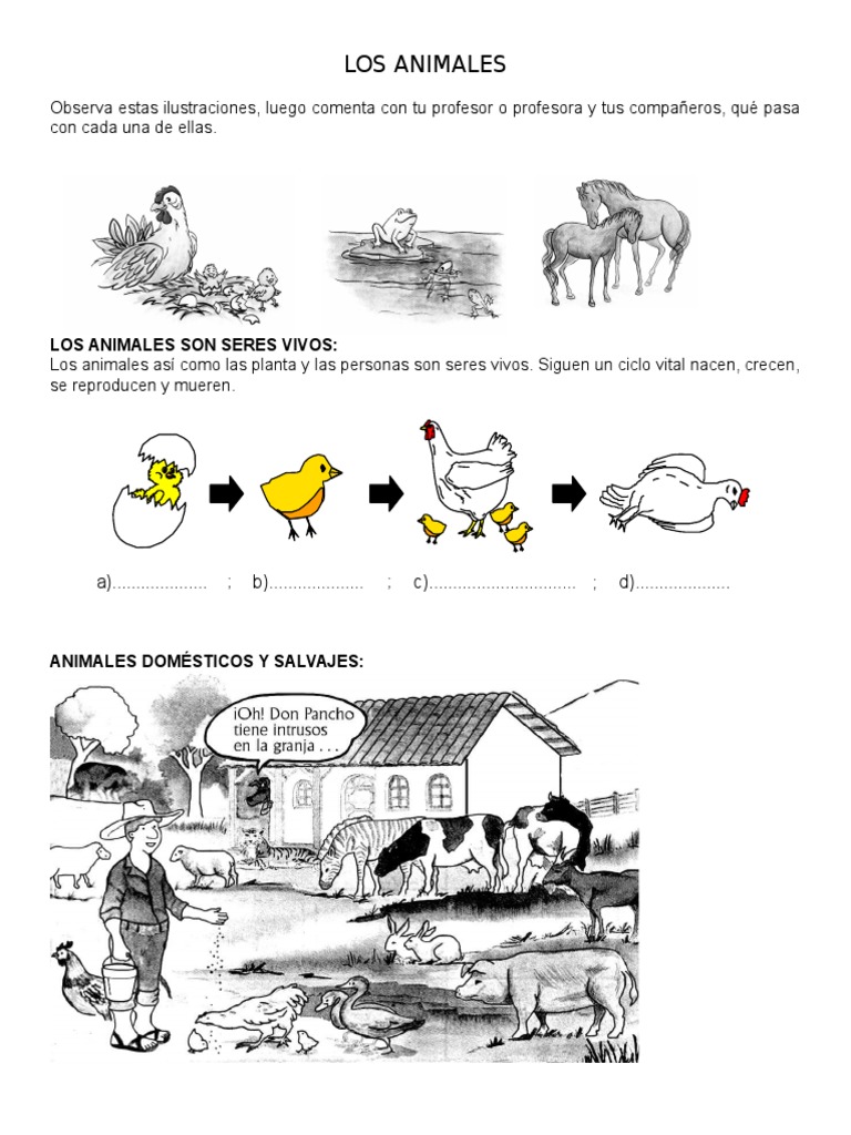 LOS ANIMALES y Su Mundo Primer Grado | PDF | Aves | Huevo