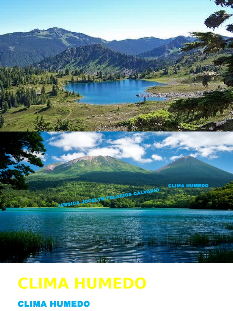 Clima Humedo | PDF