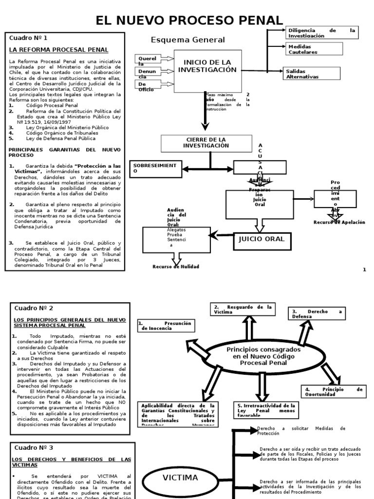 El Nuevo Proceso Penal Esquema Procedimiento Criminal Juez