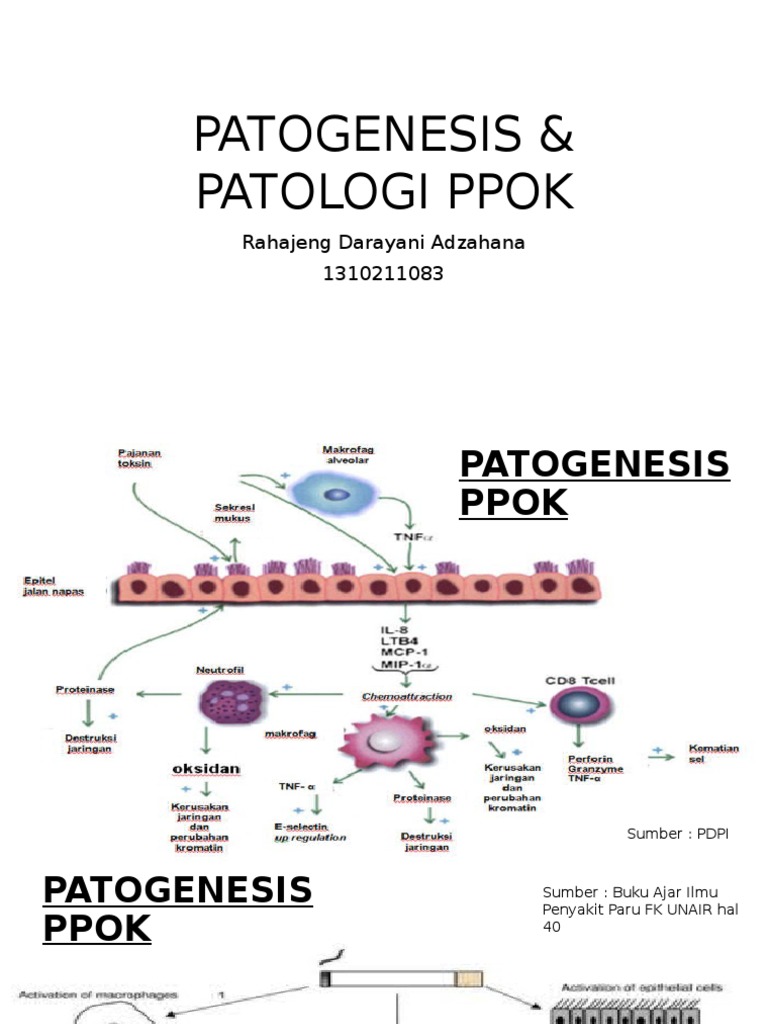 PATOGENESIS & PATOLOGI PPOK