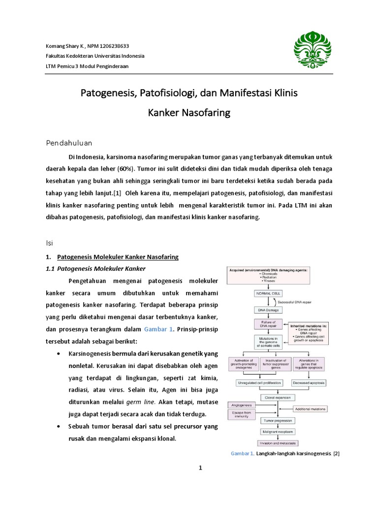 LTM 3 Patogenesis Patofisiologi Dan Manifestasi Klinis CA Nasofaring | PDF