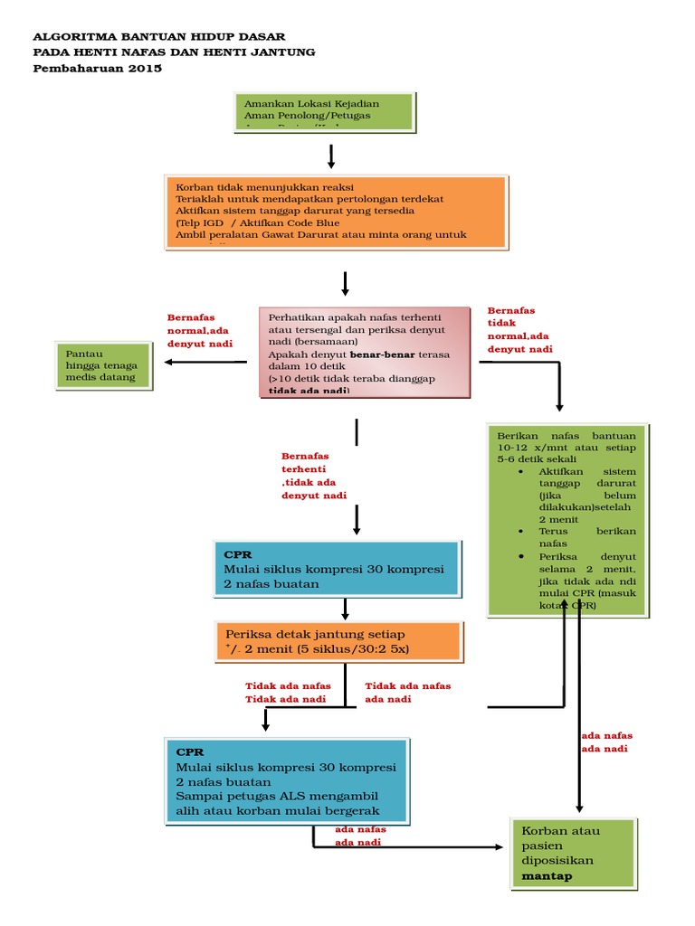 Algoritma Bantuan Hidup Dasar | PDF
