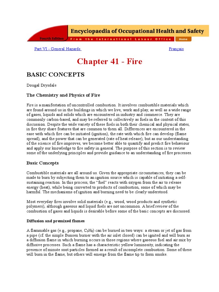 Chapter 41 - Fire: Basic Concepts | PDF | Combustion | Fires
