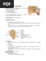 Celda Parotídea y Glandula Parotida RESUMEN | PDF ...
