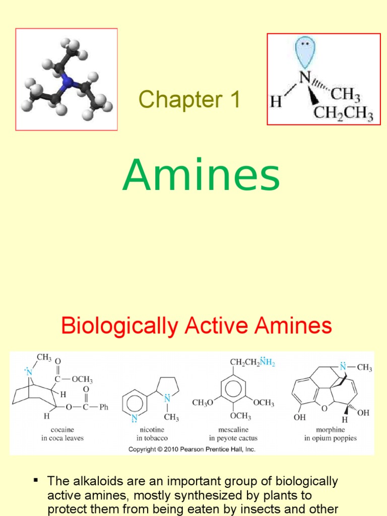 Overview of Amines and Their Properties | PDF | Amine | Amide