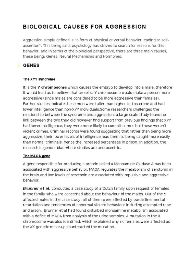 Biological Causes For Aggression | PDF | Aggression | Amygdala