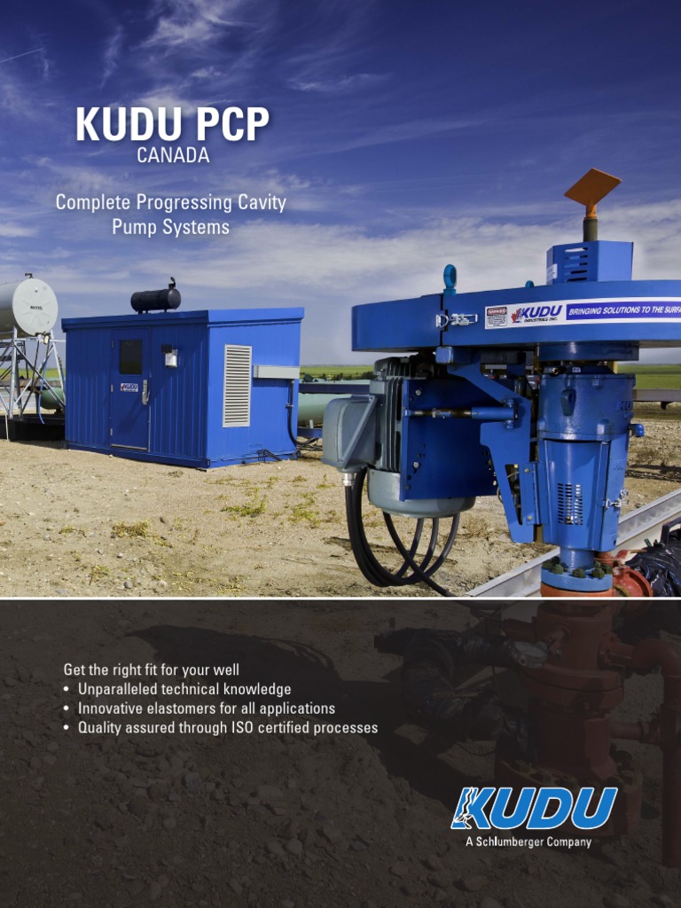 Kudu Bro PC Pumps Dom Web | PDF | Bomba | Especificación (Norma técnica)